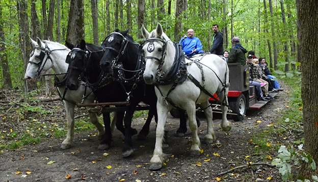 Meandering through Middlefield | News, Sports, Jobs - Tribune Chronicle